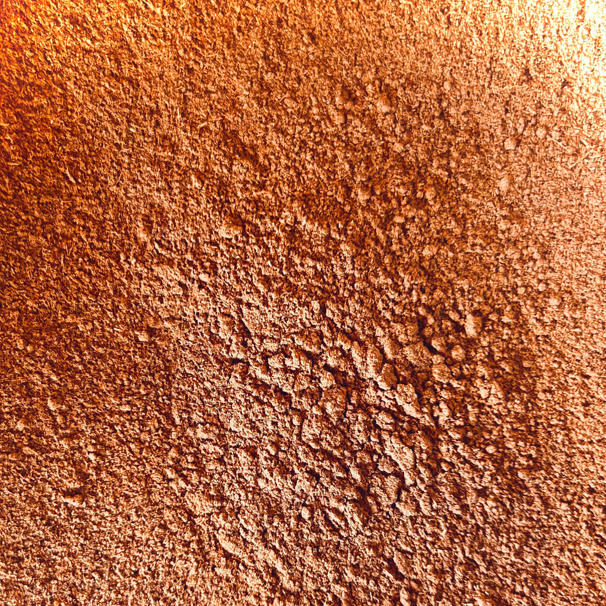 Arjuna Bark Powder (Terminalia arjuna) | The Wellspring Natural Living ...