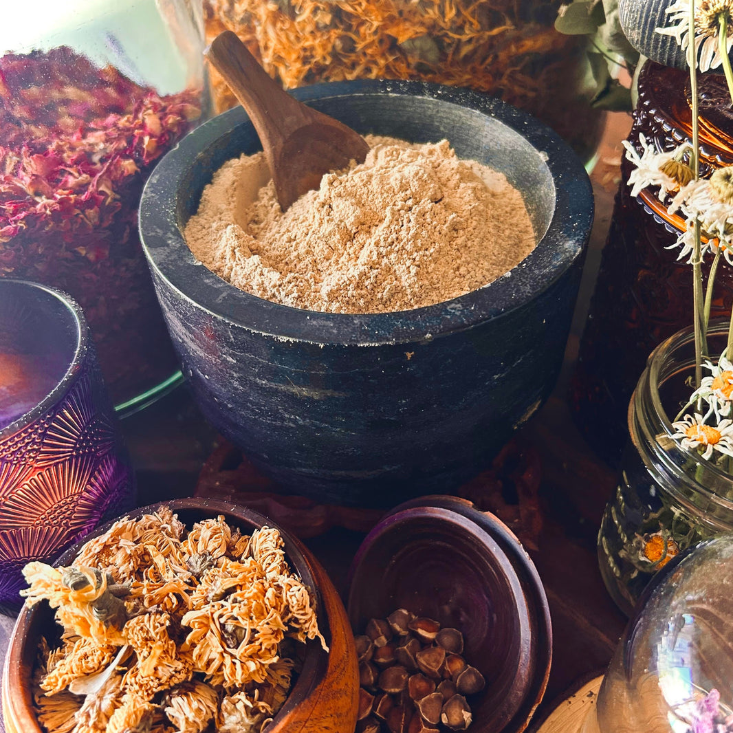 The WellSpring Natural Living Center – The Wellspring Natural Living Center